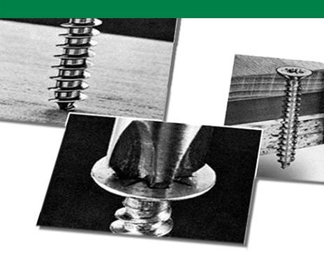 200 Jahre ABC sind 200 Gründe für SPAX | SPAX