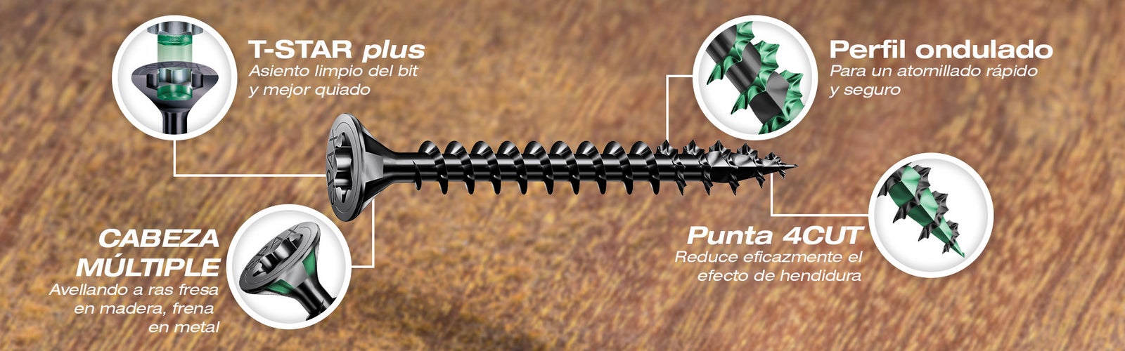 SPAX Internacional | SPAX